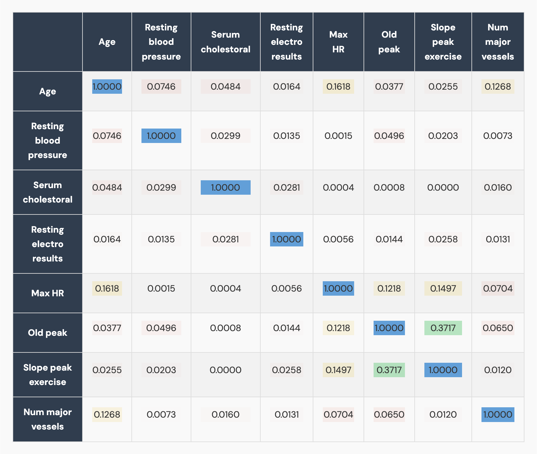 Noah Vario - Portfolio